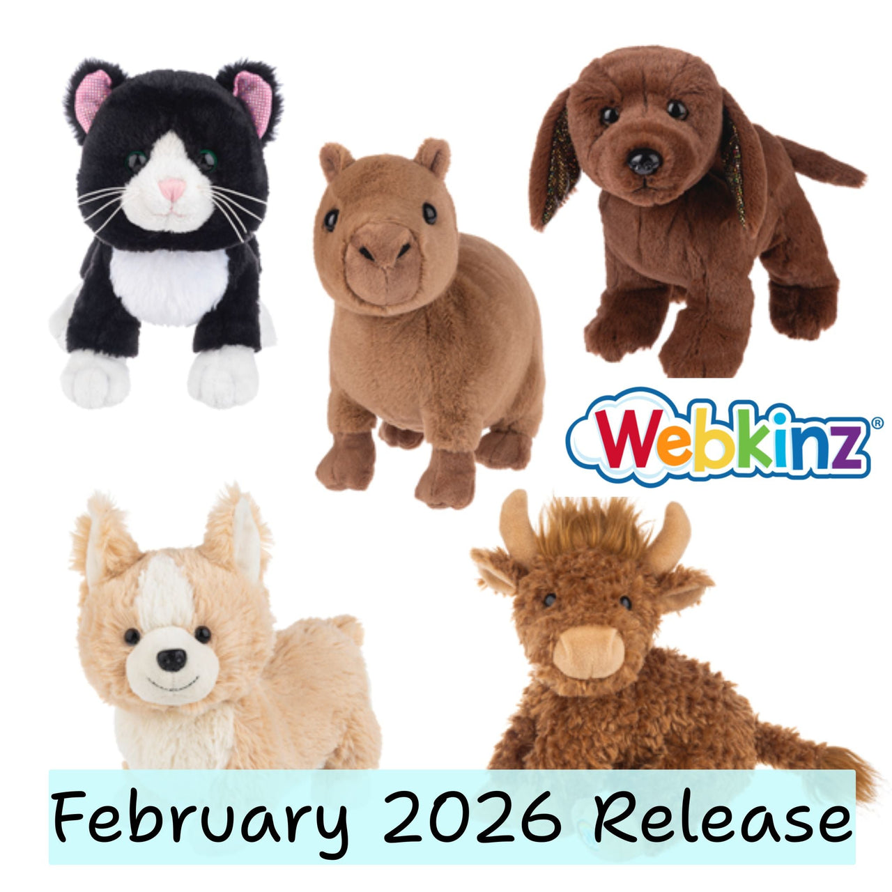 February 2026 Webkinz Release | New Plush Animals at Chivilla Bay ...
